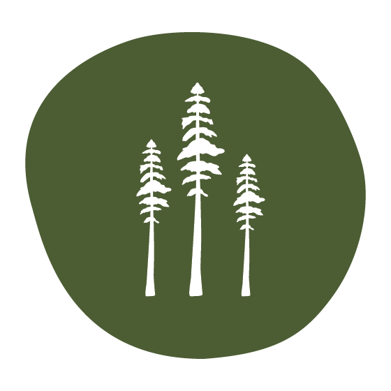 Tribu de mamas sanadoras